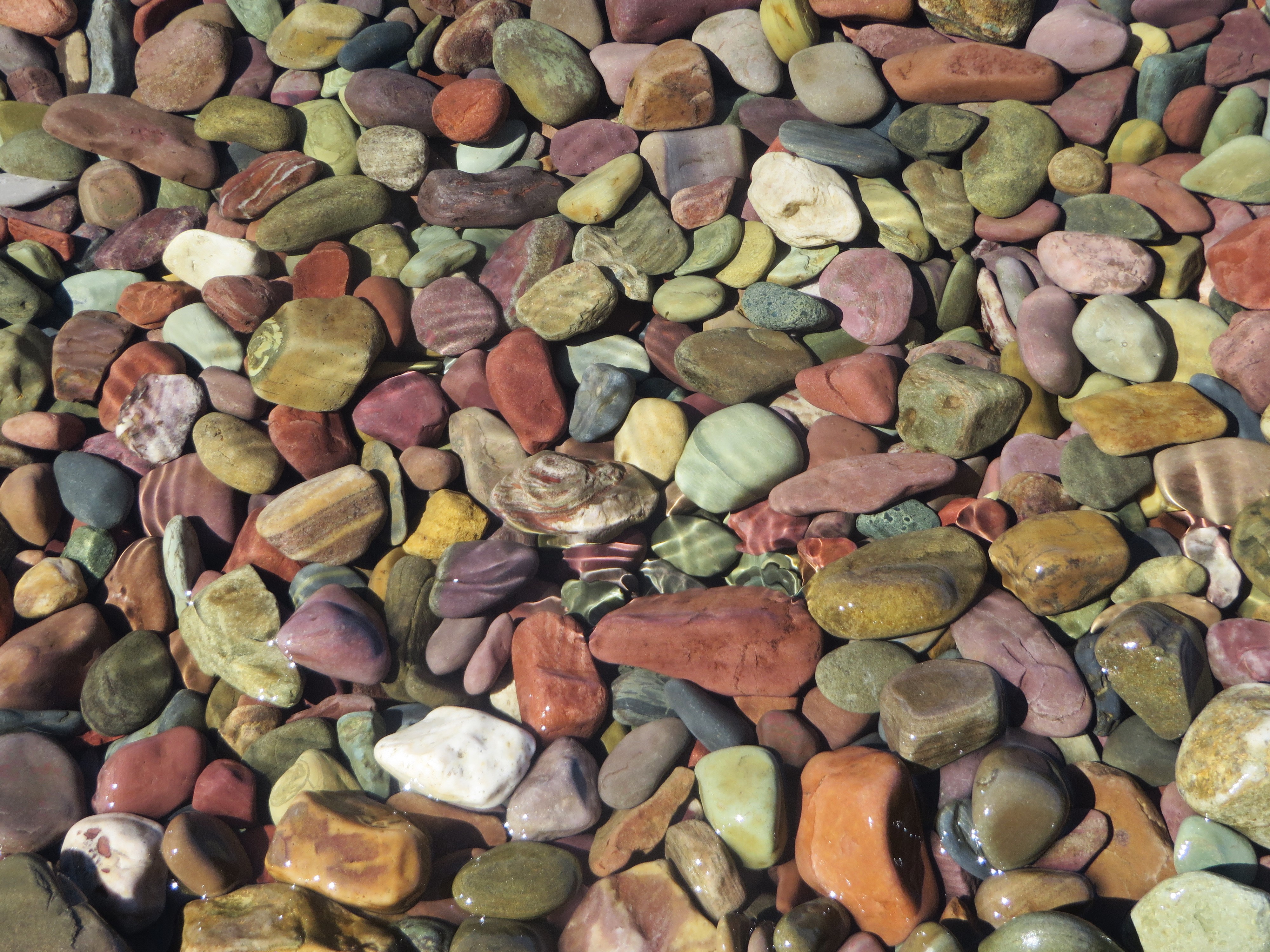Braving the Rainbow Rocks and Raging Rapids of Glacier National Park ...